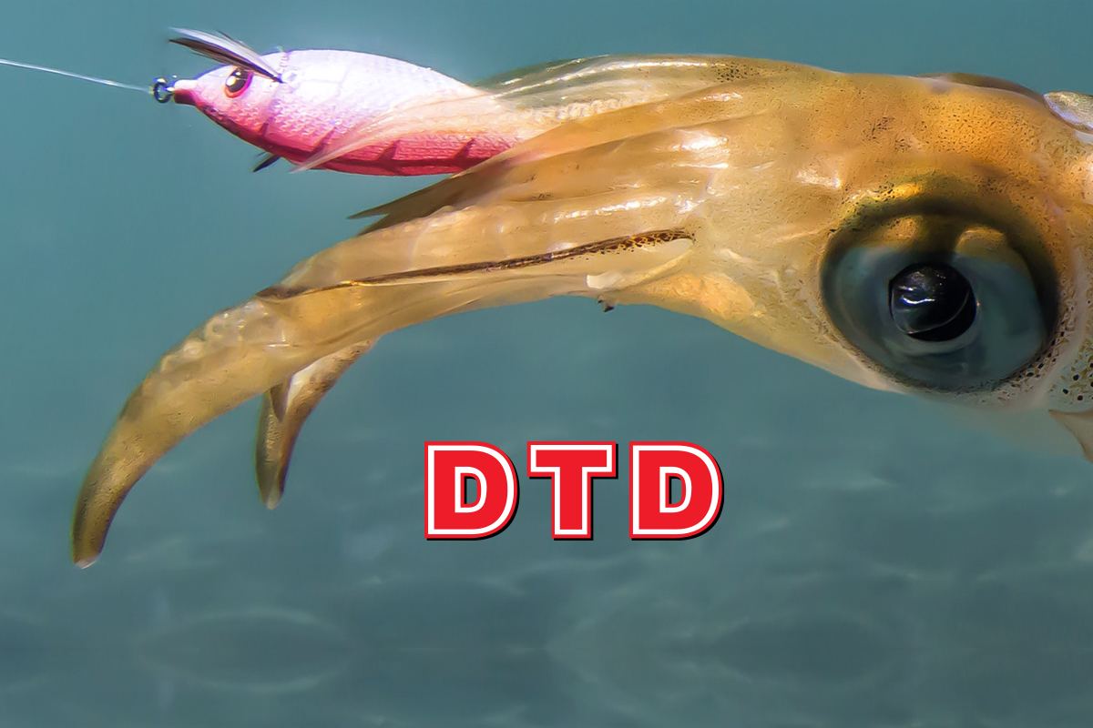 DTD - High quality squid jigs