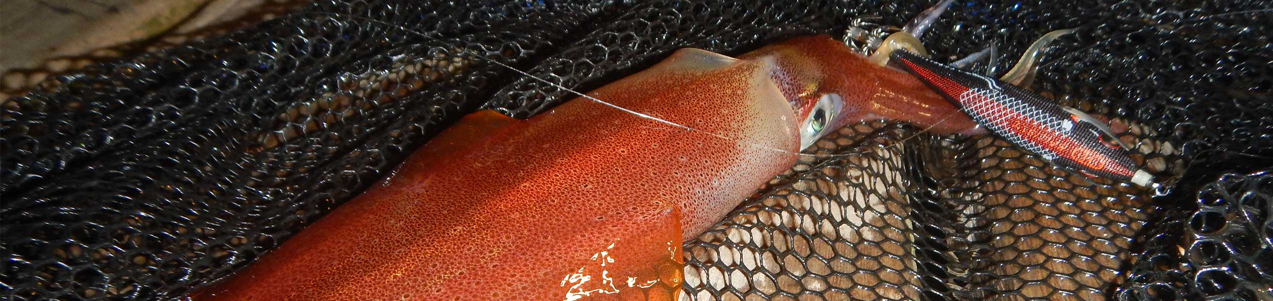 BALL - RED KILLER | Squid jigs Bukva | DTD - High quality squid jigs