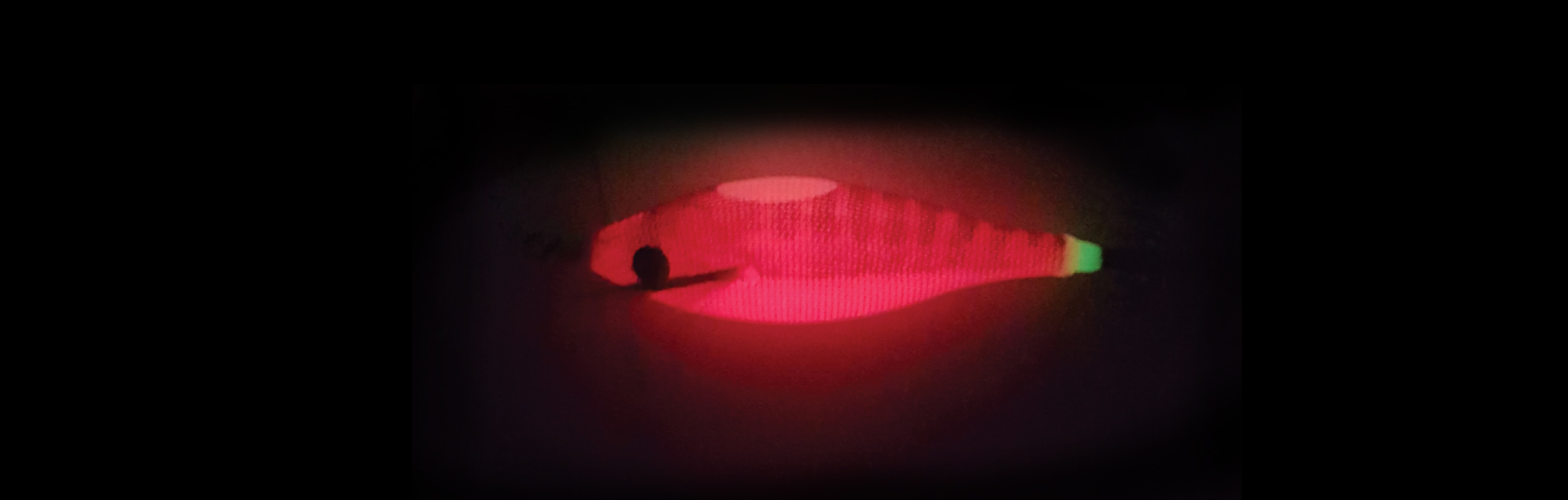 HYBRID KANJAC | Squid jigs Bukva | DTD - High quality squid jigs