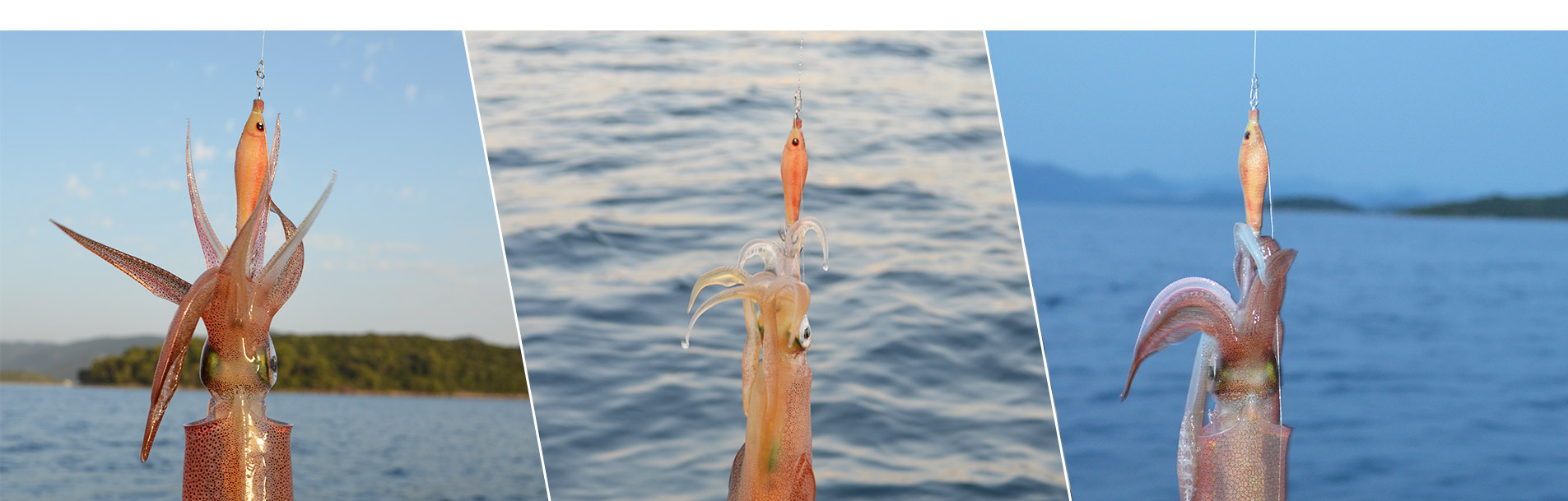 soft REAL FISH | Soft squid jigs | DTD - High quality squid jigs