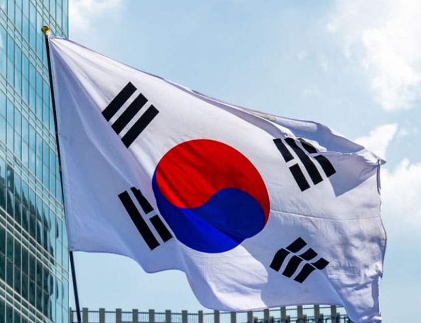 DTD - High quality squid jigs